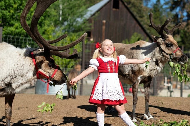 leavenworth reindeer farm
