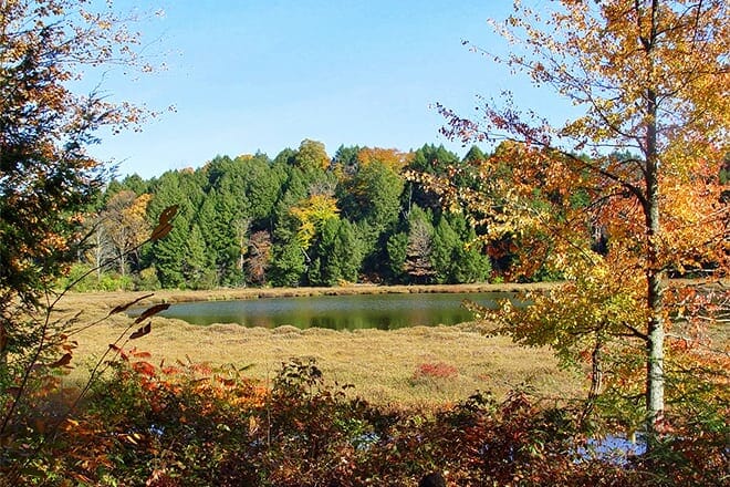 lime hollow nature center