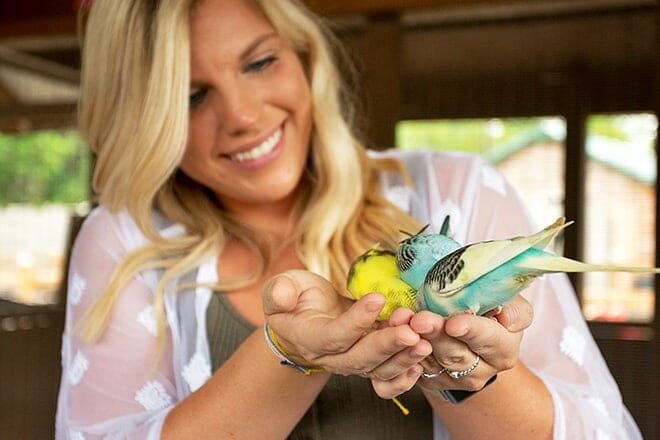 living treasures wild animal park