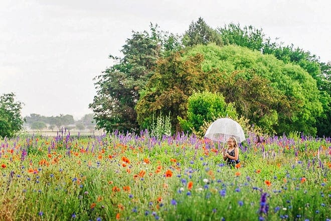 lubbock memorial arboretum