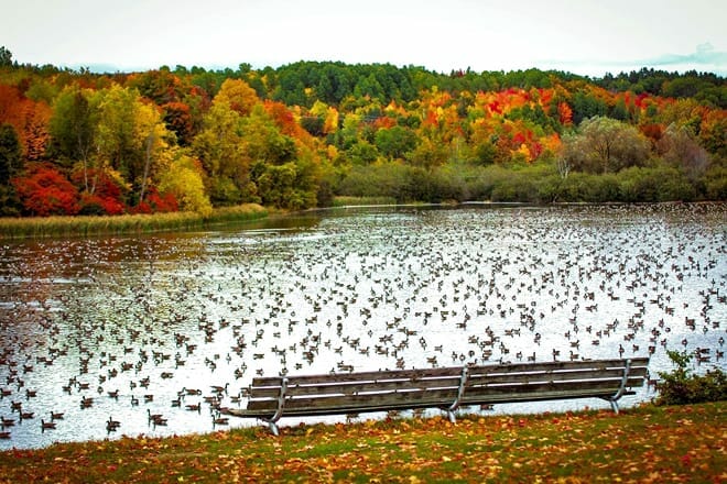 malone memorial recreation area