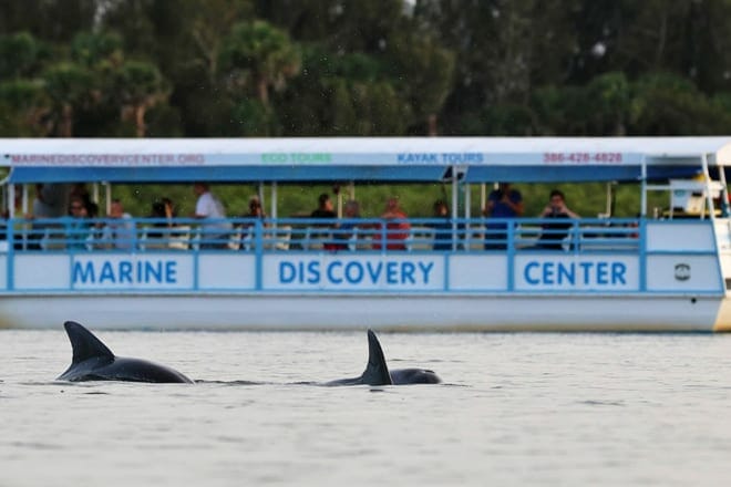 marine discovery center