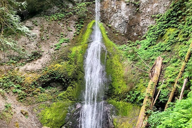 marymere falls trail