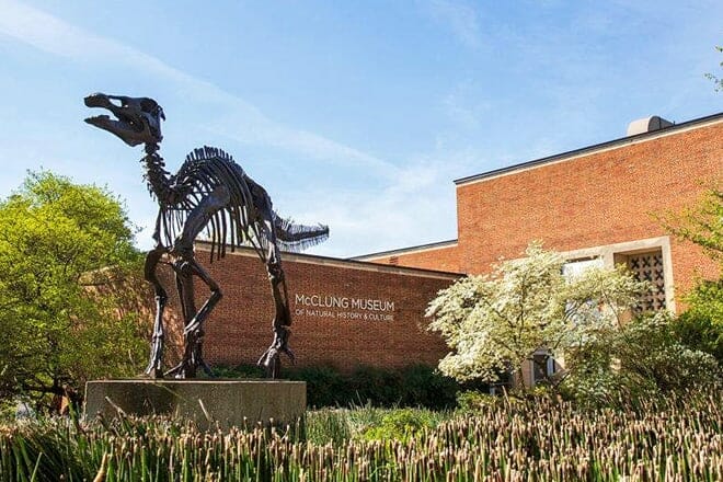 mcclung museum of natural history and culture