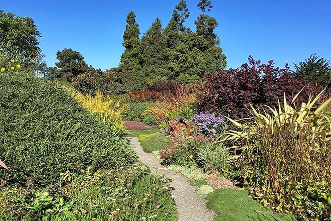 mendocino coast botanical gardens