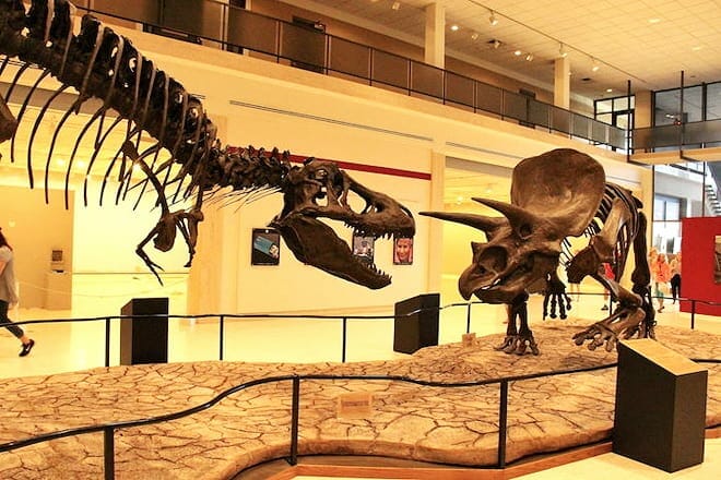 museum of texas tech university