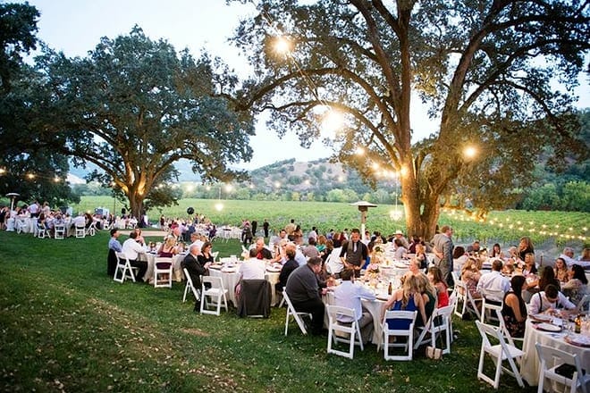 nelson family vineyards