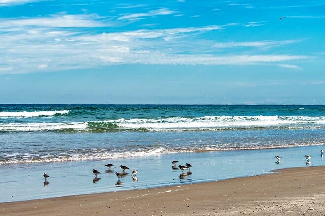 new smyrna town beach