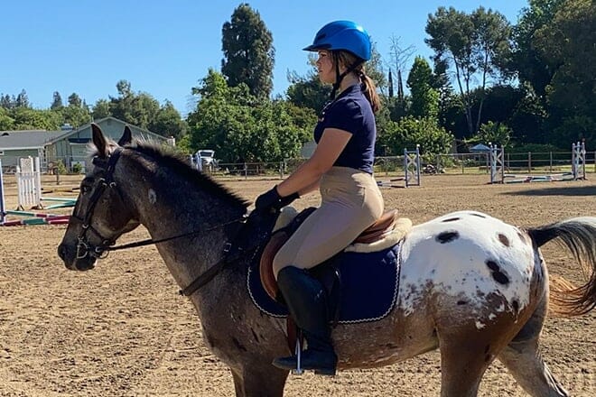 over the rainbow farm