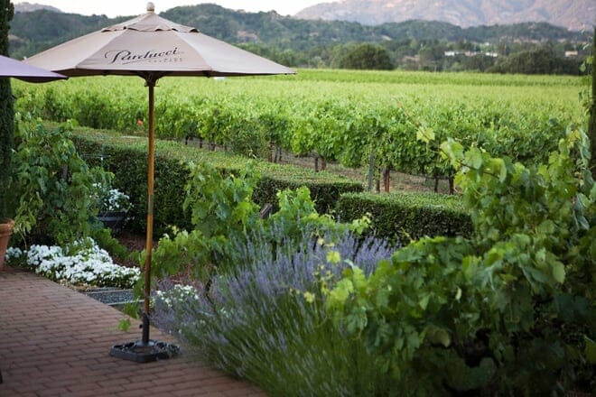 parducci wine cellars