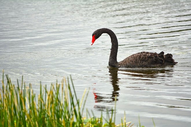 peaceful waters sanctuary