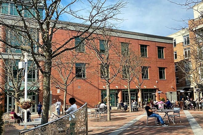 princeton public library