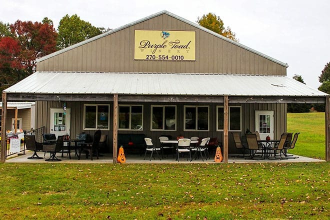purple toad winery