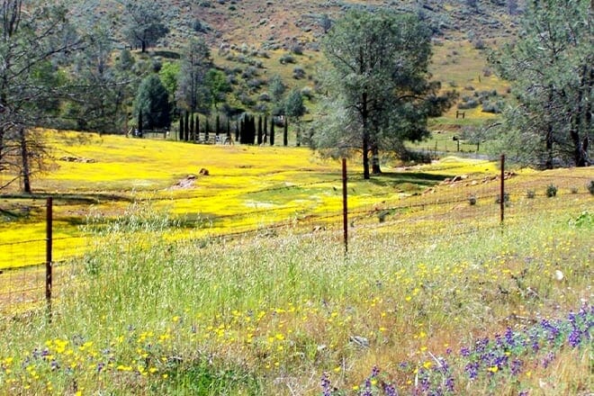 red hills recreation management area