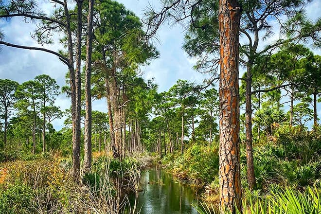 savannas preserve state park