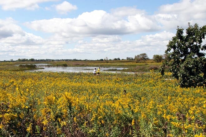 springbrook prairie forest preserve