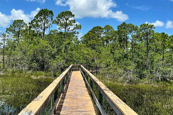 spruce bluff preserve