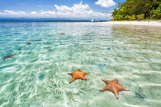 starfish beach &mdash; bocas del toro