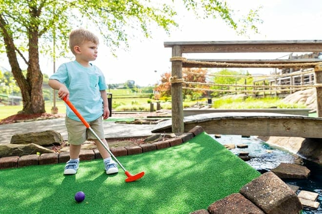 statler's fun center