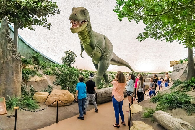 sternberg museum of natural history