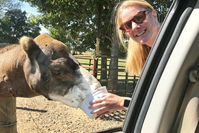 tennessee safari park