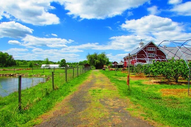 Terhune Orchards & Winery