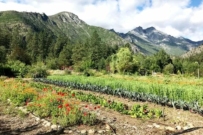 the organic garden at sleeping lady