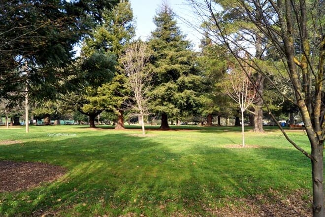 todd grove park