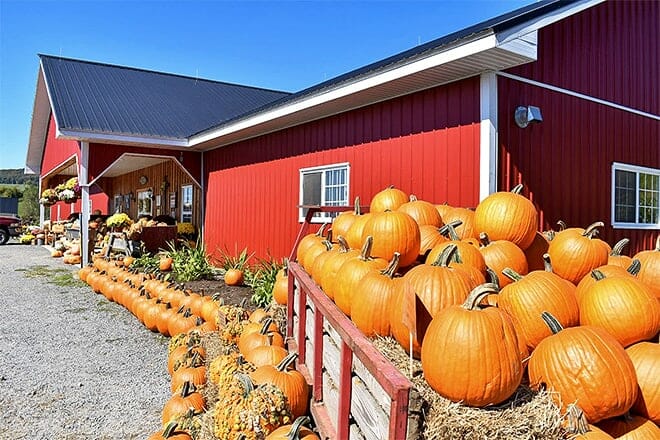 trinity valley dairy