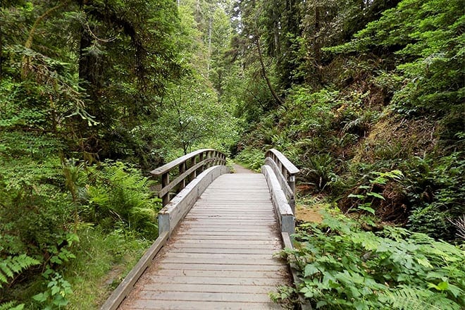 van damme state park