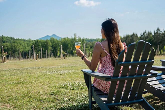 veronet vineyard & winery