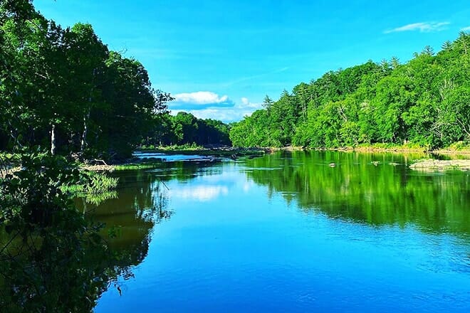 white pines nature preserve