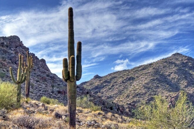 White Tank Mountain Regional Park &mdash; Waddell