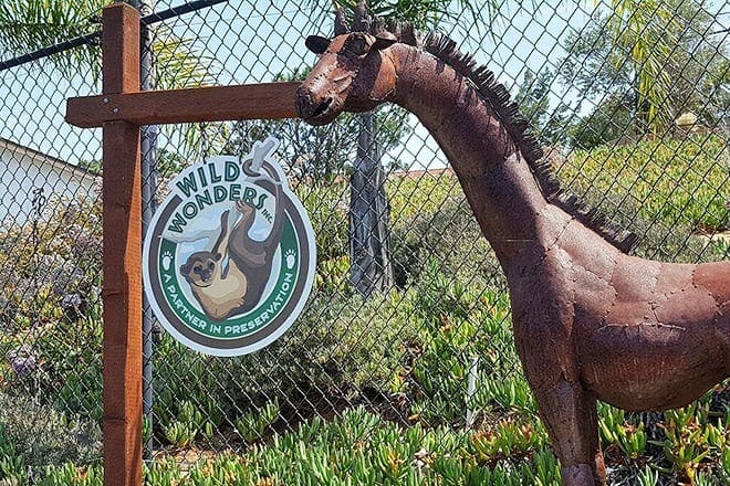 wild wonders