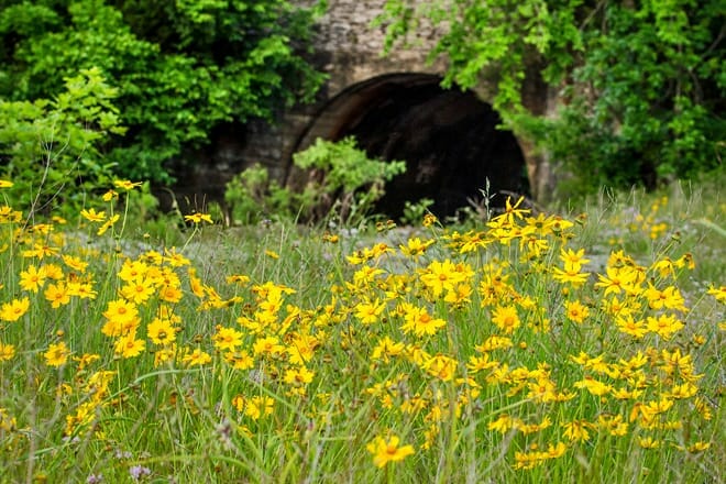 wildcat glades conservation and audubon center &ndash; national audubon society