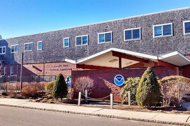 woods hole science aquarium