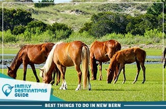 best things to do in new bern