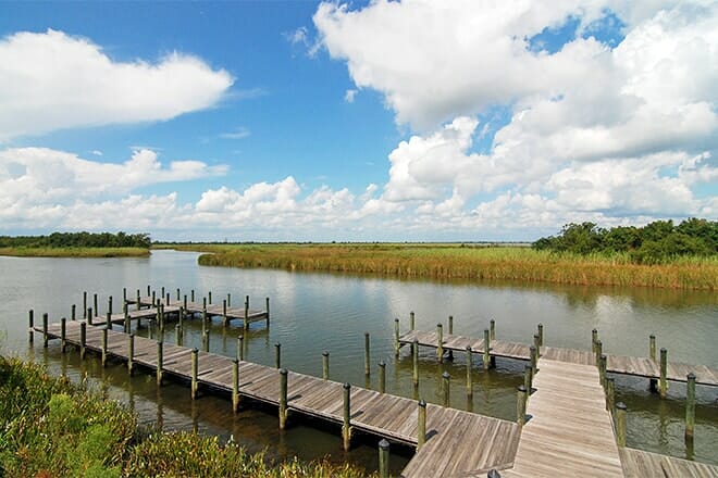 5 rivers - alabamas delta resource center