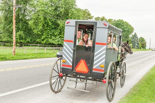 Aaron & Jessica's Amish Buggy Rides &mdash; Bird N Hand
