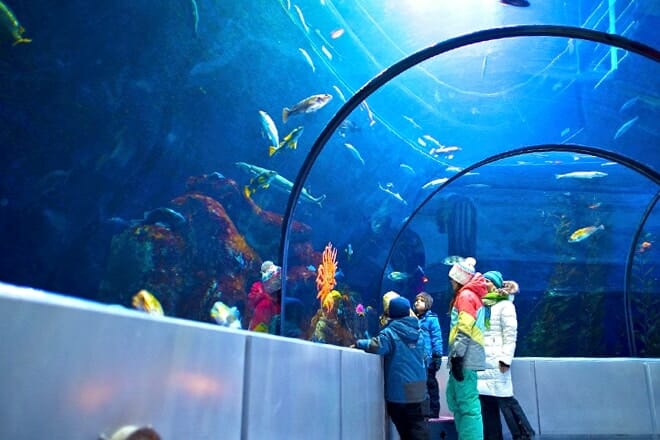 aquarium du québec