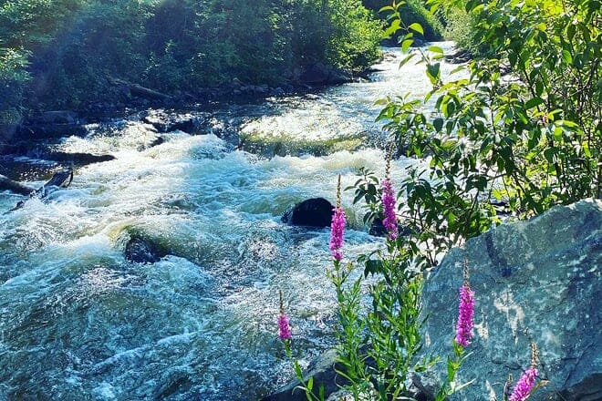 bear river valley recreation area