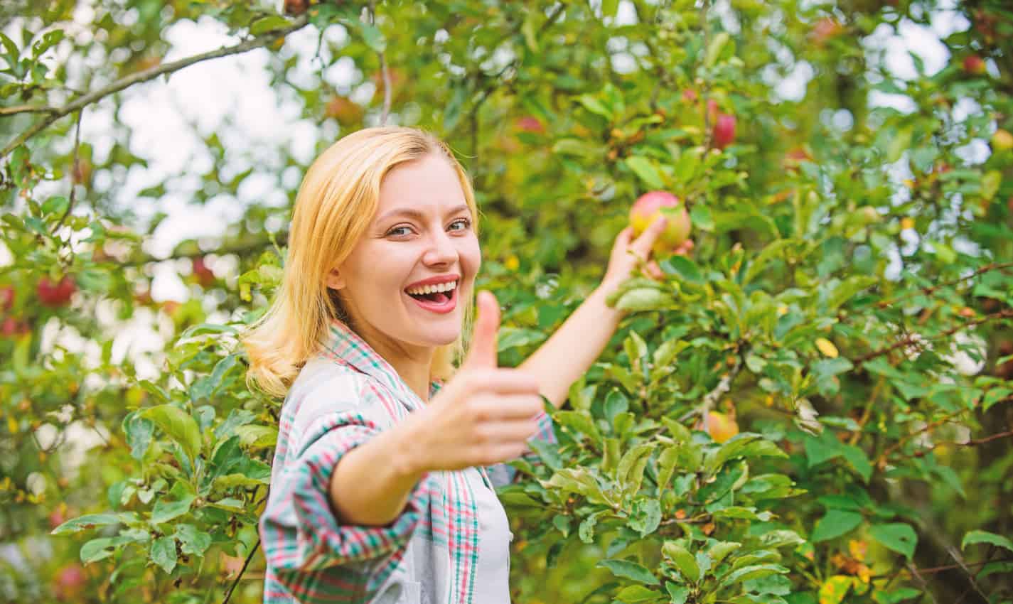 best things to do in sycamore, il