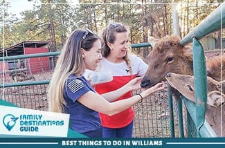 best things to do in williams
