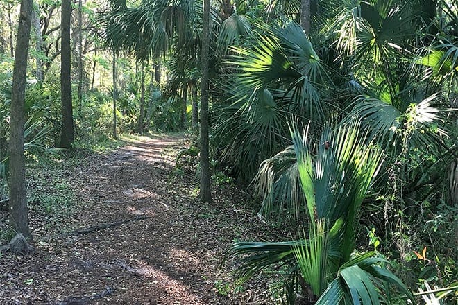blue run of dunnellon park