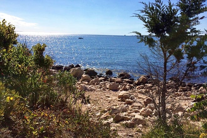 bluff point state park