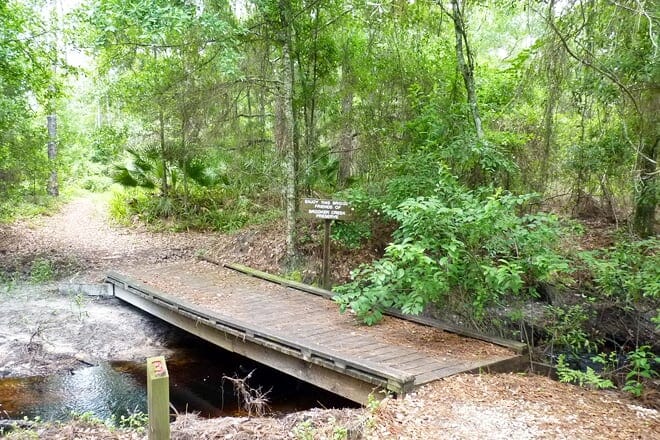 brooker creek preserve