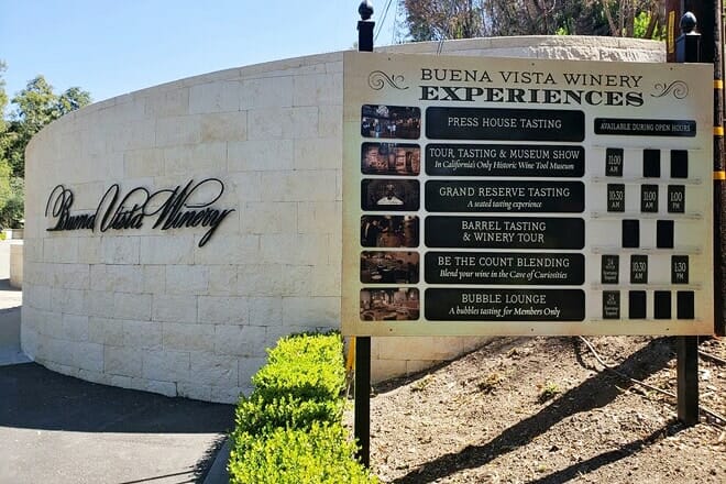 buena vista winery