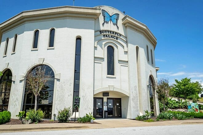 butterfly palace and rainforest adventure