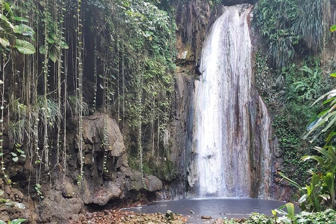 diamond falls botanical gardens