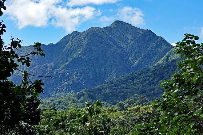 edmund rain forest reserve